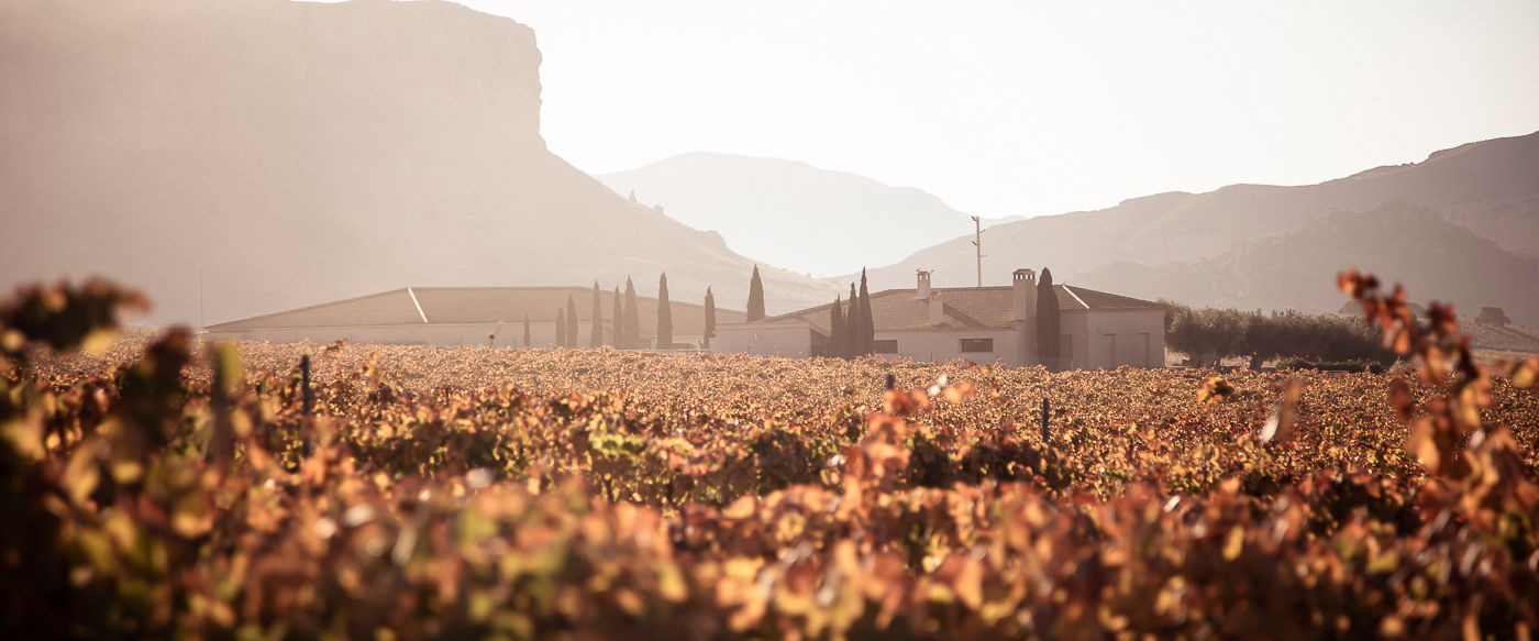 On the path to becoming a climate-friendly winery | SMA Solar