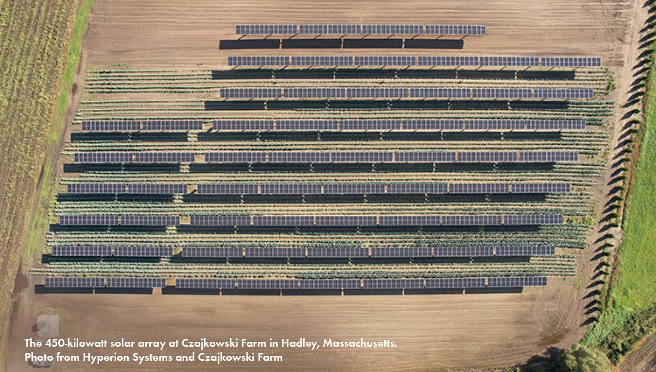 Joe Czajkowski Farm: Growing Produce and Producing Power | SMA America